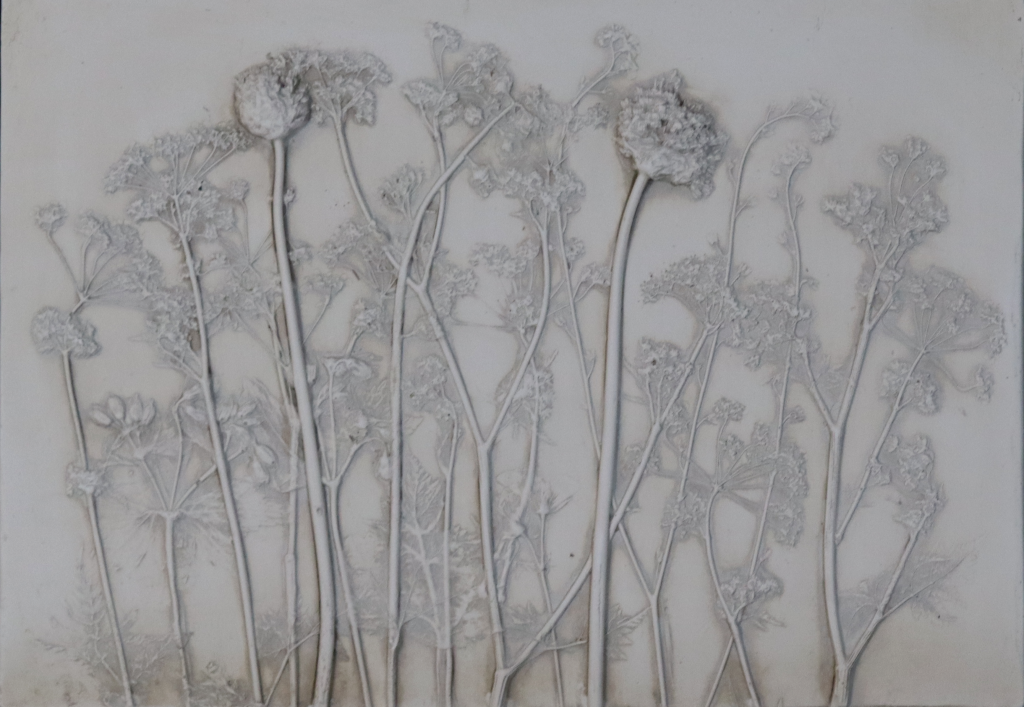Alliums and Cowsparsley - EAS Art Gallery Dundee