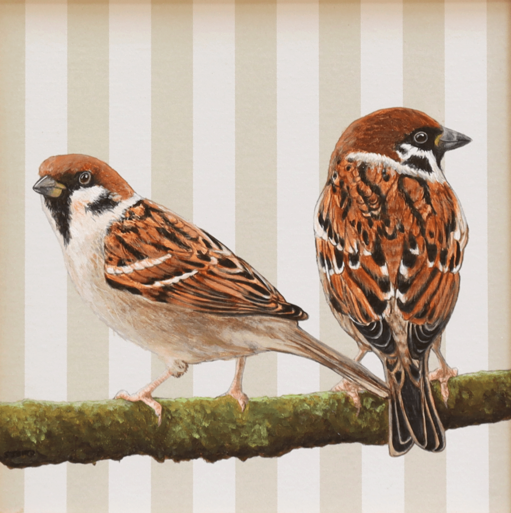 Stanley Bird - EAS Art Gallery Dundee