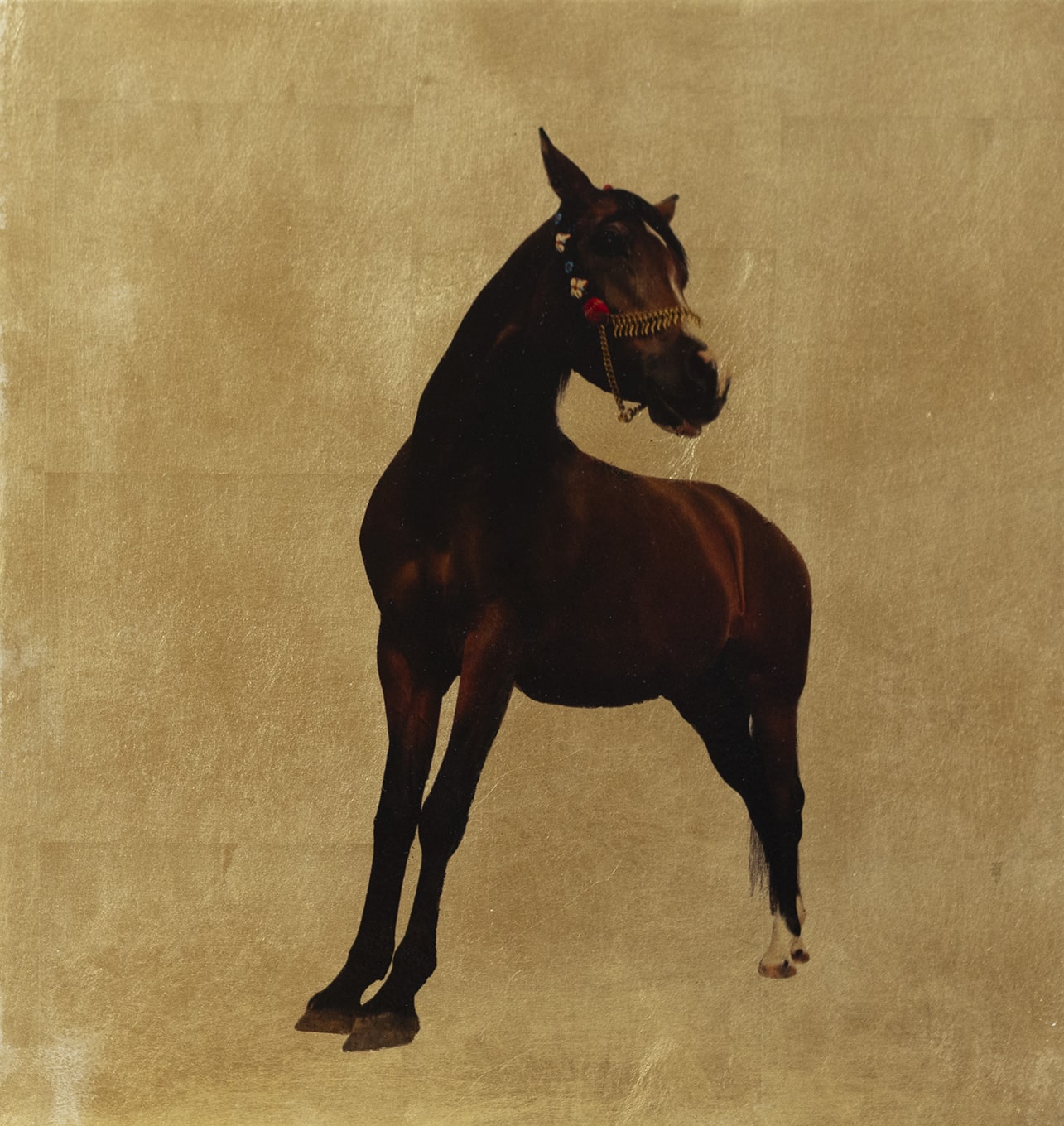 Equis I - EAS Art Gallery Dundee